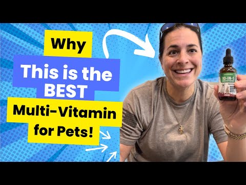 Review of Vitamins and Supplements for Cats & Dogs