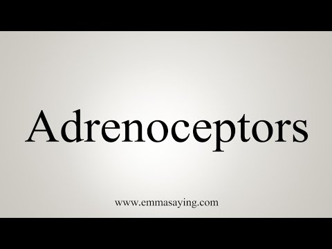 How To Say Adrenoceptors