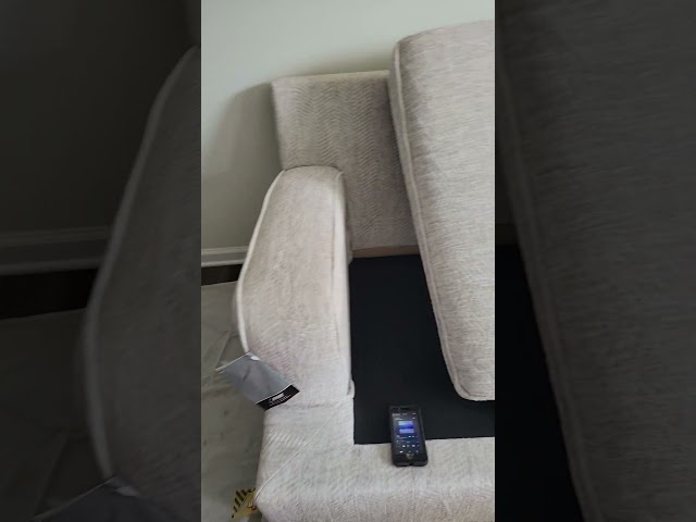 Upholstery Cleaning - Treo General Services