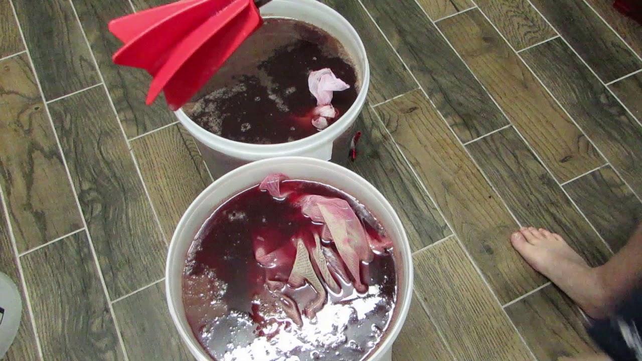 how to make concord grape wine 2019