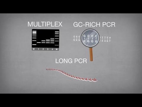PCR reaction types and applications