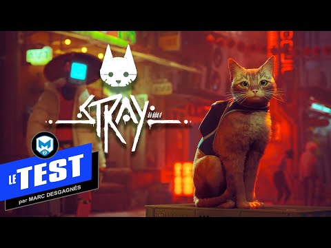 Test du jeu Stray (PS5, PS4, PC) - M2 Gaming