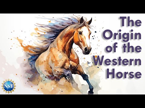 First Horses Of North America