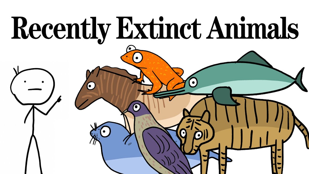 Recently Extinct Animals You Don’t Know