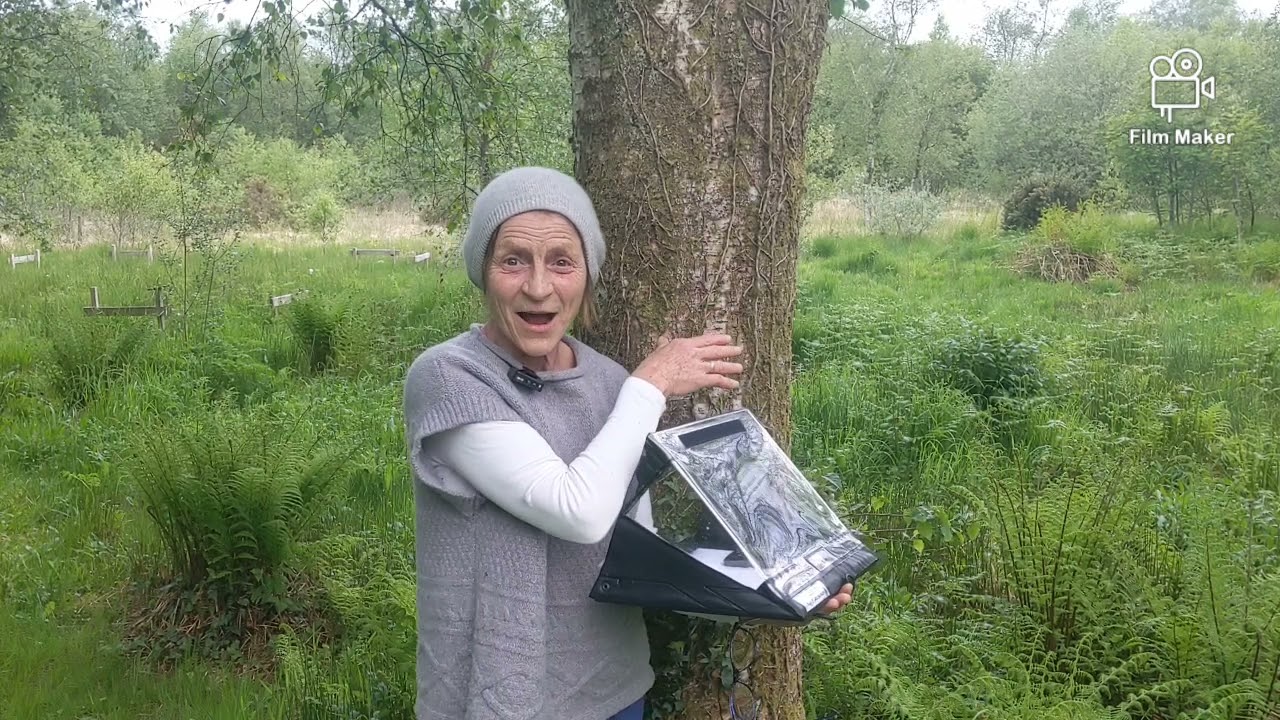 Measuring the carbon stored in trees