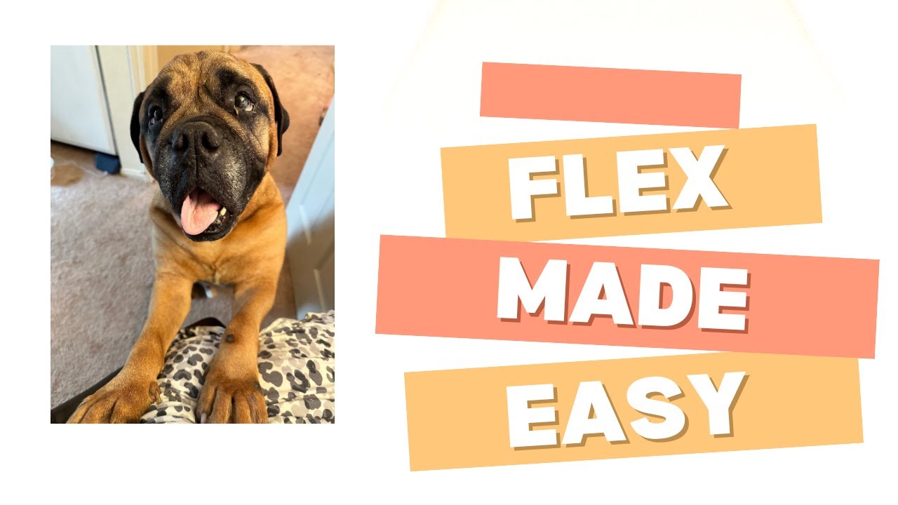 FLEX Made Easy