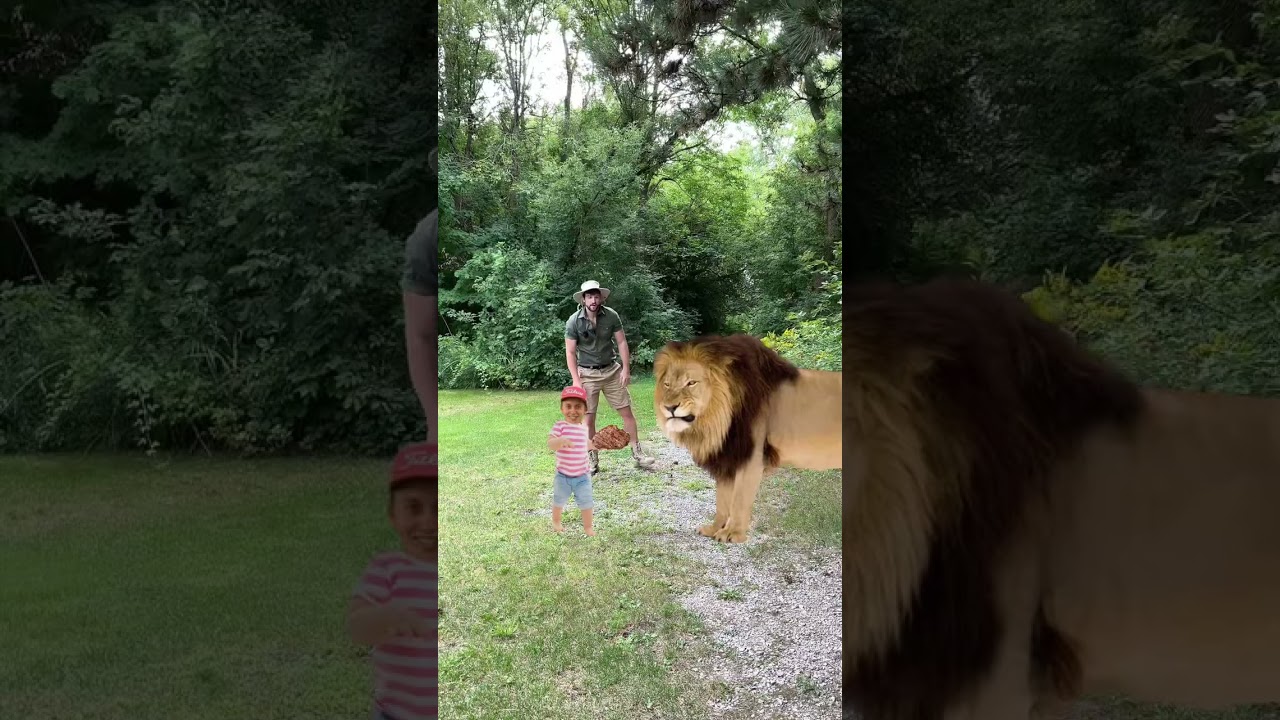 I Opened A Petting Zoo With @PrintfulCustomPrinting 