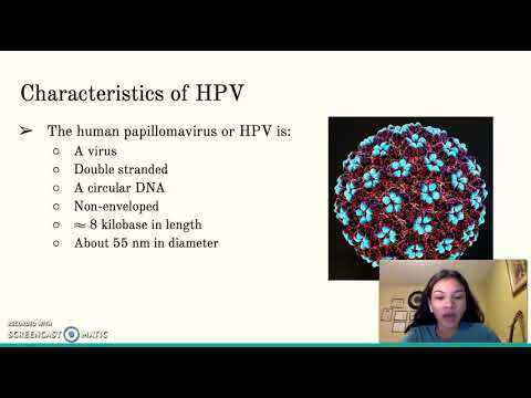 Genital Warts (HPV)