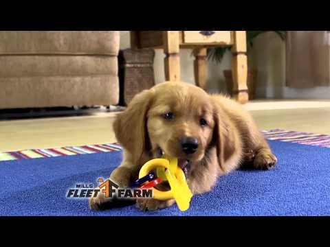 Mills Fleet Farm - My Store - Pet