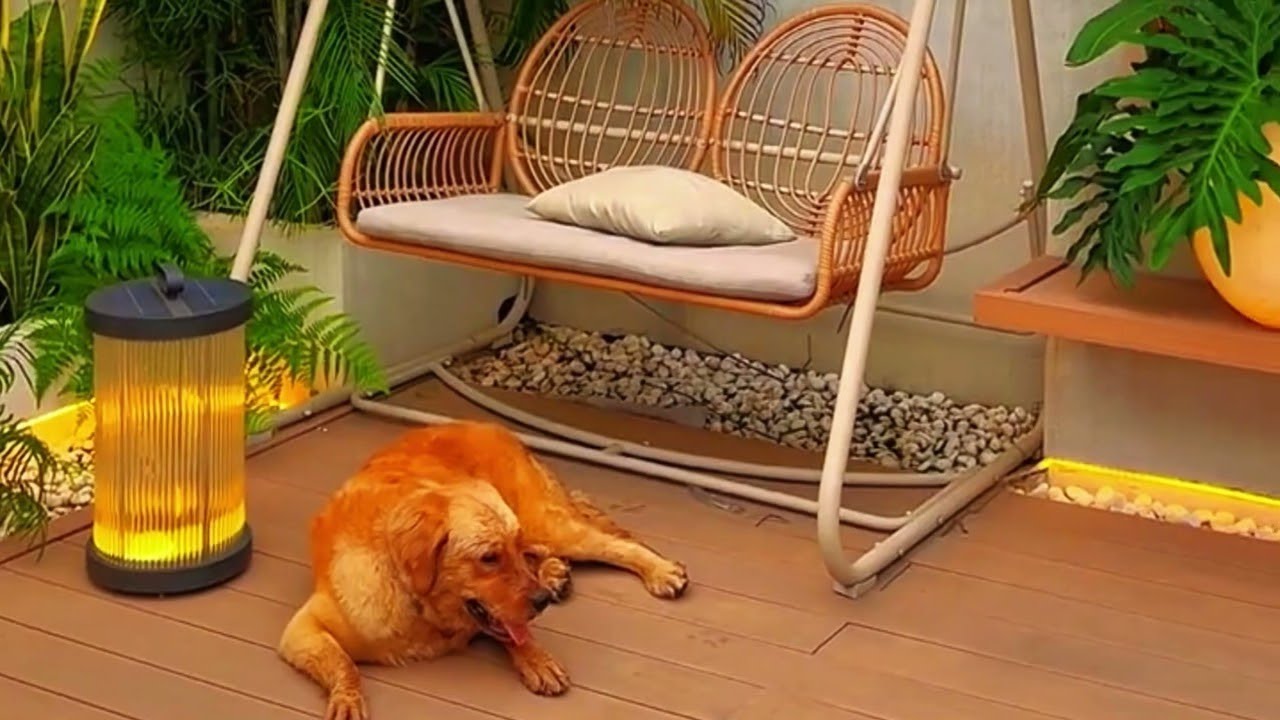 Terrace Landscape Lighting Ideas 2024 | Cozy Balcony Decor Lighting