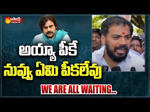 Anil Kumar Yadav Strong Counter to Pawan Kalyan Comments | Sakshi TV