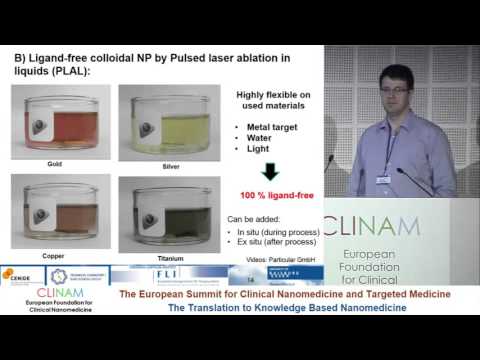 Standardized Toxicological Assays for Risk Assessment of Colloidal Nanoparticles