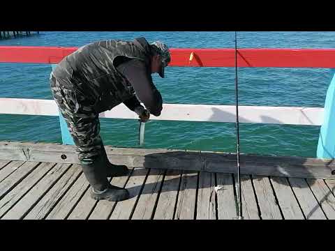 KIMBA 2025 PALANGA | Kas, kur ir ant ko šiandien kimba?