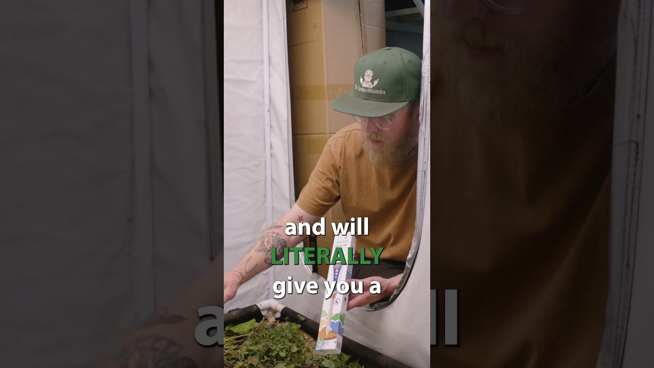 Dr Greenthumbs - iBebot & Bluelab Monitors for Living Soil