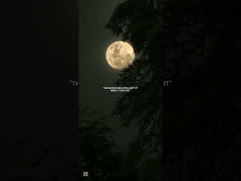 The moon is beautiful, isn't it... #shorts #aesthetic #fypviral #aestheticshorts #viral