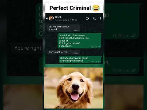 Just like the dogπΆπΆ #shorts #memes #dog