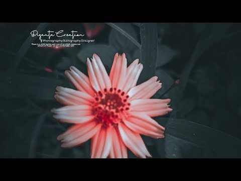 Photo Editing ❤️ #Short #ShortVideo #YoutubeShort | Status Video | Max D Editz #edit #viral #song