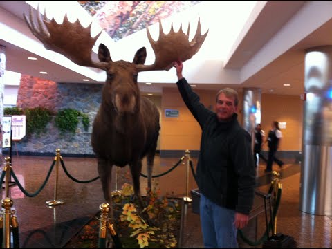 Flying into Fairbanks Alaska in the winter