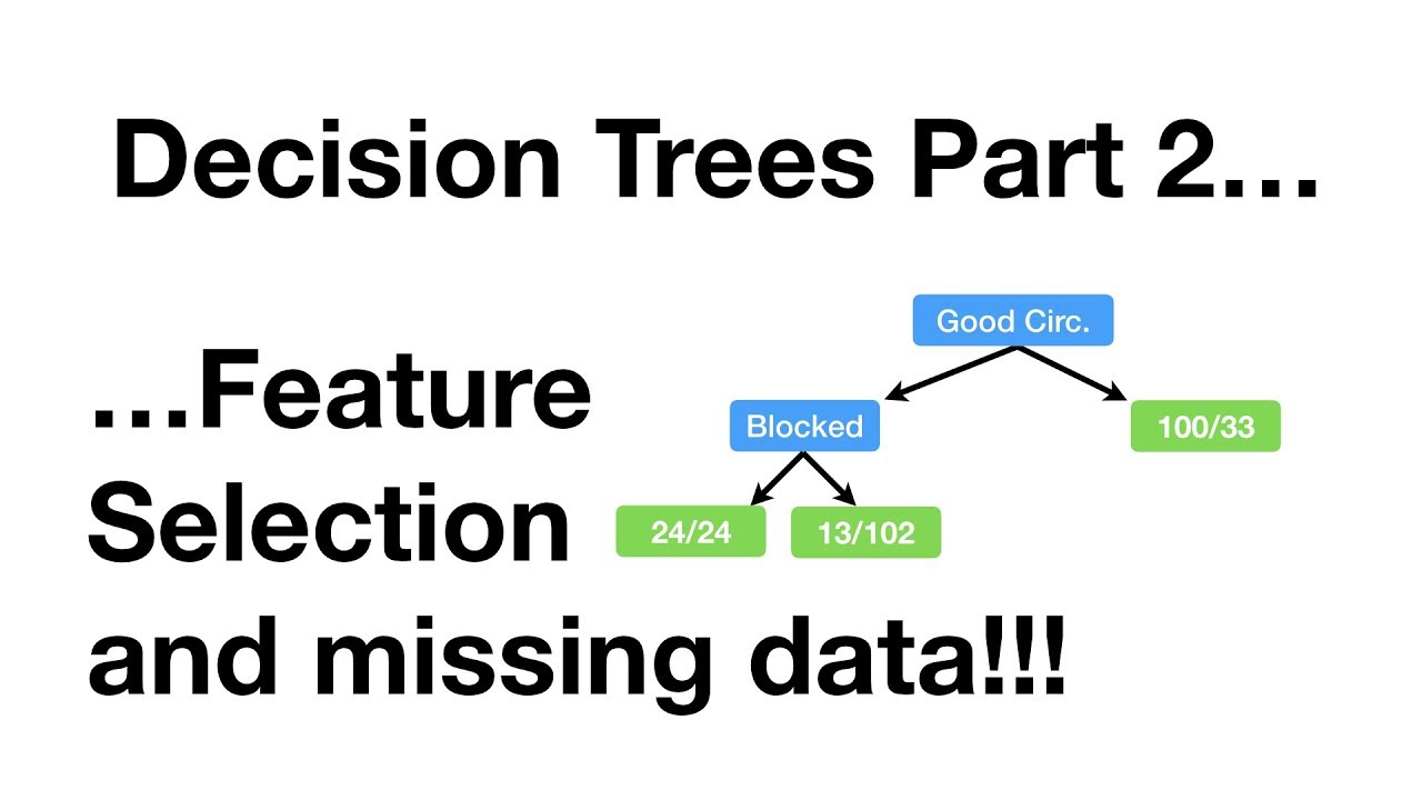 StatQuest: Decision Trees, Part 2 - Feature Selection and Missing Data