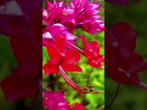 Best places to visit in Maui in 2023