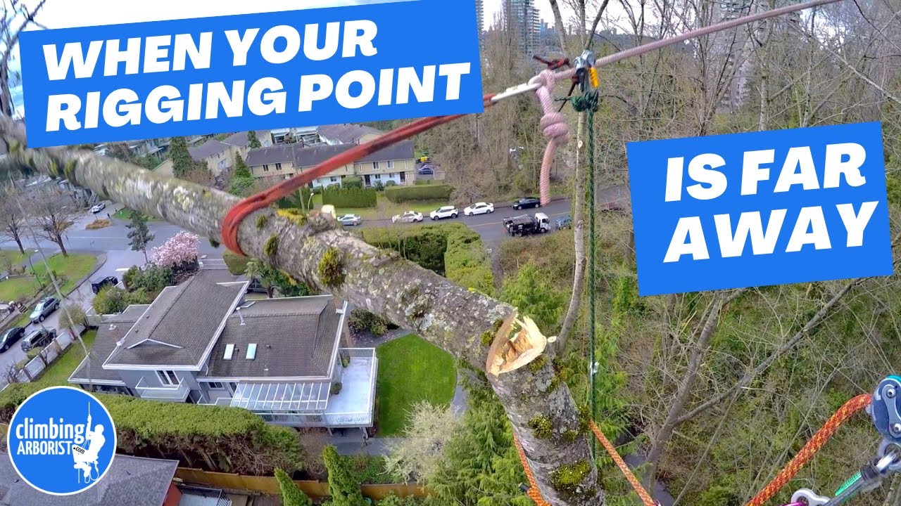 Rigging from another tree? How can I get the rigging line back? Here's how... RIGGING TECHNIQUES