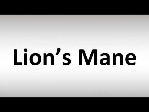 How to Pronounce Lion’s Mane