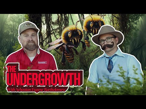 "Who Milks the Bees?" | The Undergrowth