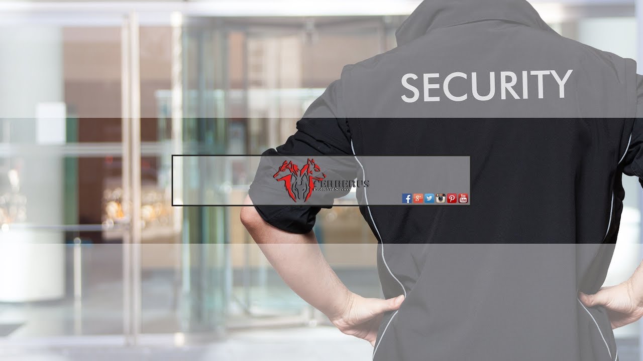 Cerberus Protective Services Introduction