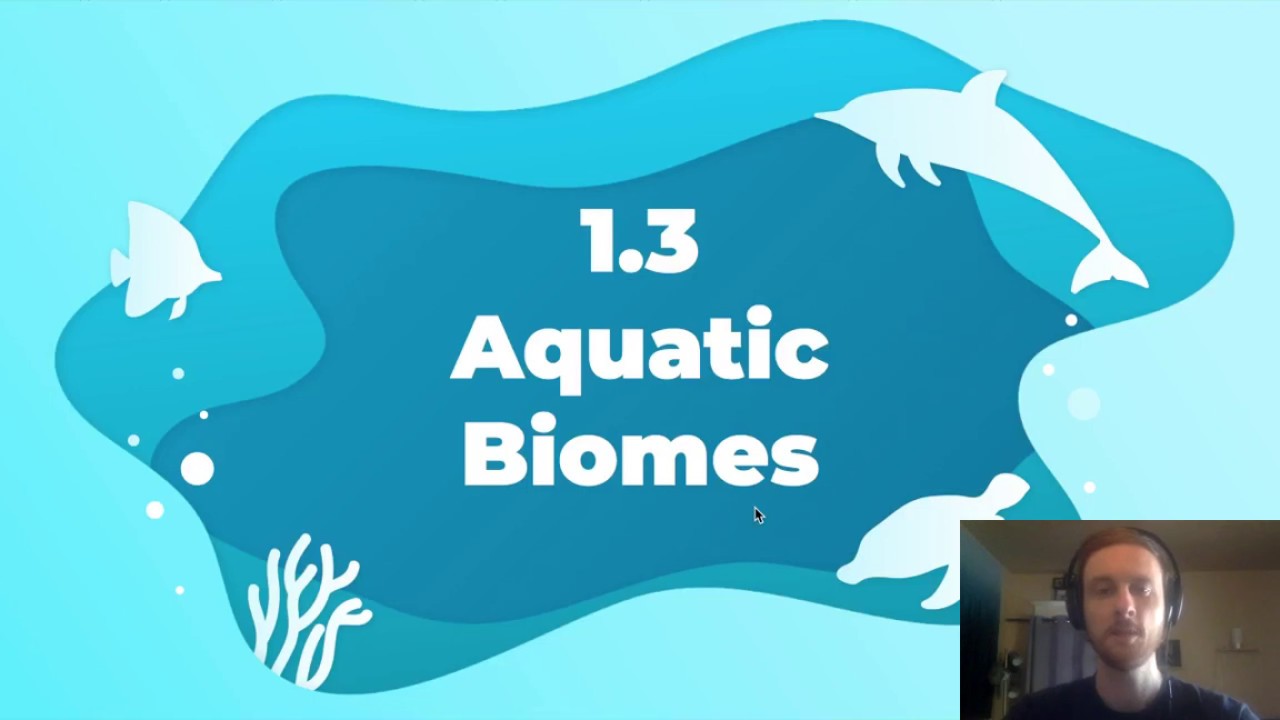 Understanding Aquatic Biomes: Characteristics, Adaptations, and ...