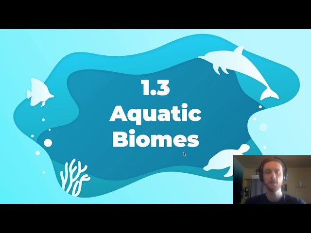 Understanding Aquatic Biomes: Characteristics, Adaptations, and ...