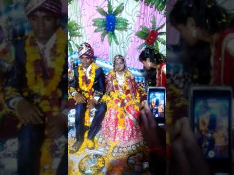 Neeraj Kumar Singh(3)