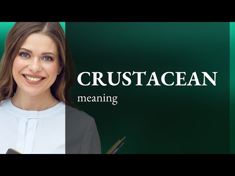 Crustacean — meaning of CRUSTACEAN