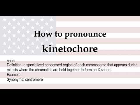 How to pronounce 'kinetochore' + meaning