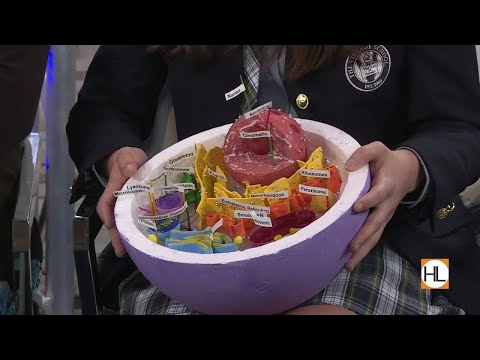 Steam Projects
