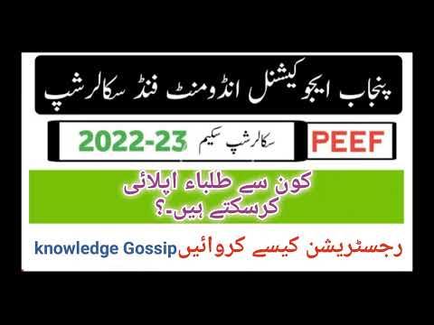 Punjab Educational Scholarship 2023 || PEEF Scholarships for Inter / Bachelor Students #peef
