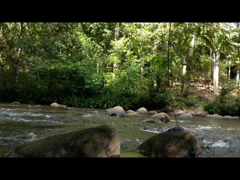 Mind relaxing music , stress relief music , sleep music, calming ~ relaxing sound of Water