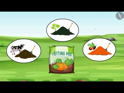 Improvement in Crop Yields Video Lecture - Class 9