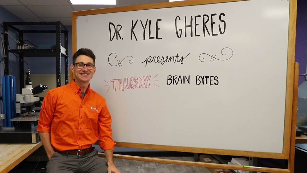 Thursday Brain Bytes - Episode 1: Brain Basics