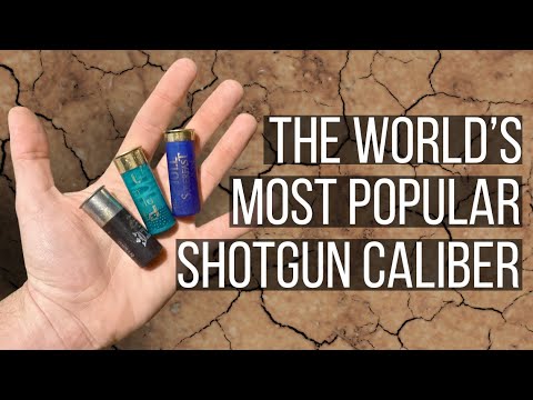 12 Gauge Explained