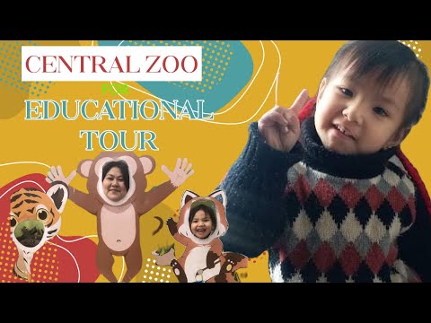 Central Zoo Jawalakhel: A Complete Guide to Animal Welfare and Education