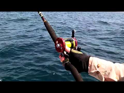 Rompin Sailfish Ambassadeur 7000C PENN Powerstix Rod Sport Fishing Asia