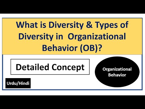 What is Diversity and Types of Diversity in Organizational Behavior(OB)?