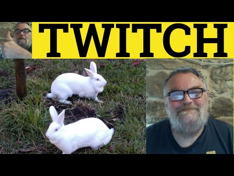 🔵 Twitch - Twitch Meaning - Twitching Examples - Twitch Definition - C2 Vocabulary