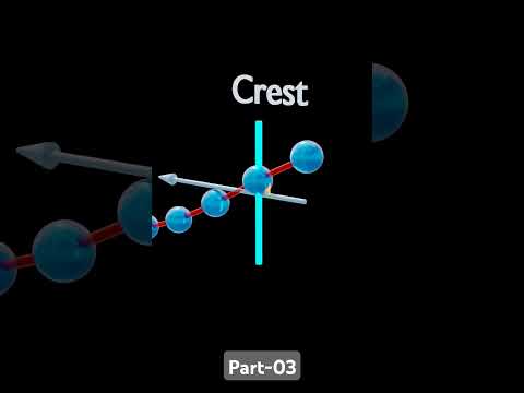 Mechanical wave | longitudinal wave | transverse wave | animation #animation #sound #physics