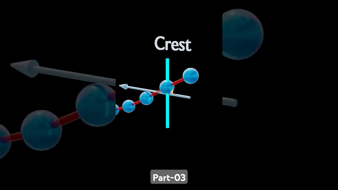 Mechanical wave | longitudinal wave | transverse wave | animation #animation #sound #physics