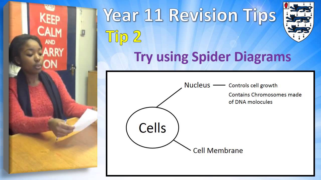 Tip 2   Spider Diagrams