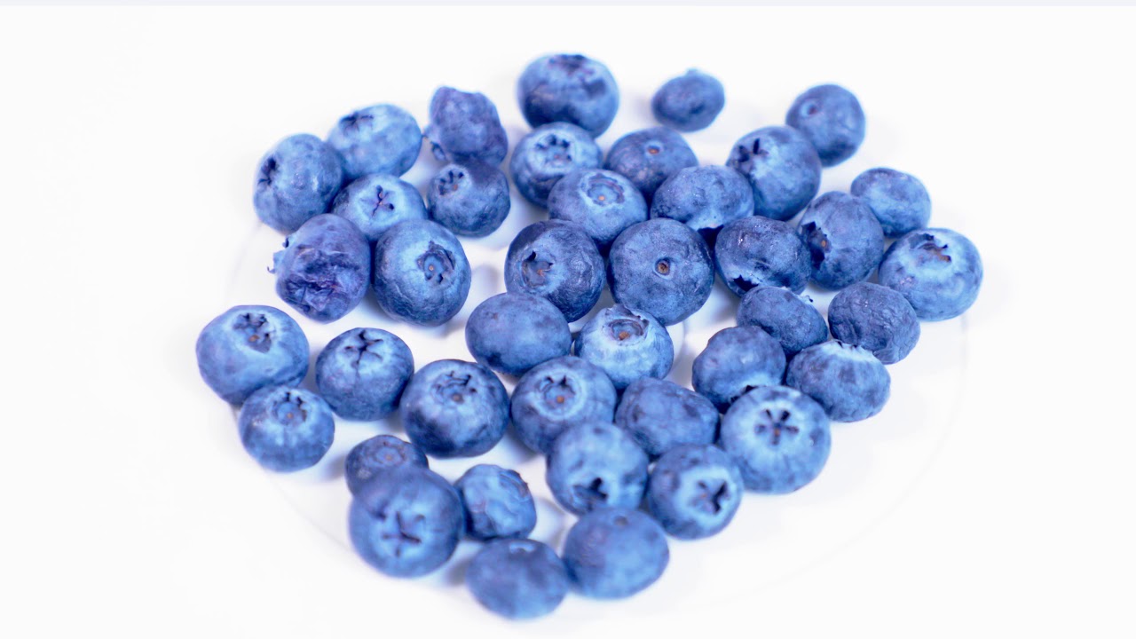 Blueberries Rotating on a White Background | Free Video Download | 4k | Get Something Great