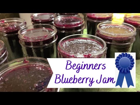 🫐 Homemade BLUEBERRY JAM | EASY Step by Step Recipe with PECTIN