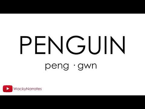 PENGUIN - Pronunciation - WackyNarrates