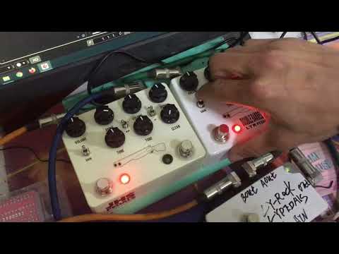 LYR brand CLONE of a Double Barrel V4 2024 | Reverb
